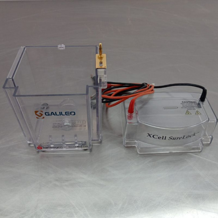 Buy Invitrogen XCell Surelock Mini-Cell at the best price ǀ Galileo ...