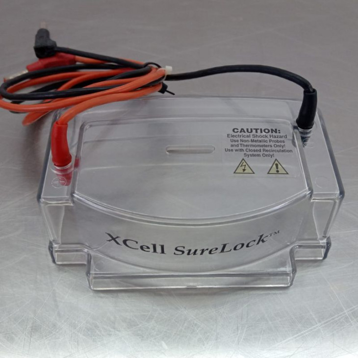 Buy Invitrogen XCell Surelock Mini-Cell at the best price ǀ Galileo ...