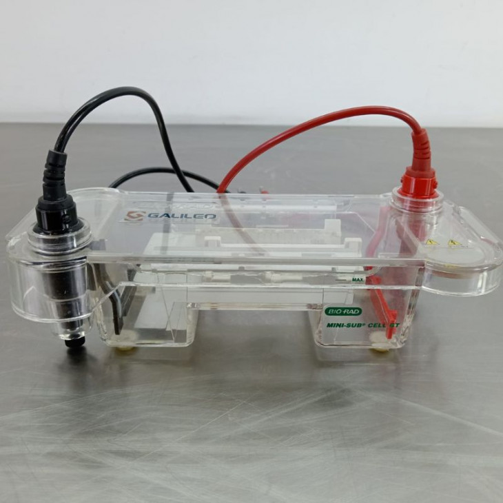 Buy Bio-Rad Mini Sub Cell GT Electrophoresis cuvette. at the best price ...