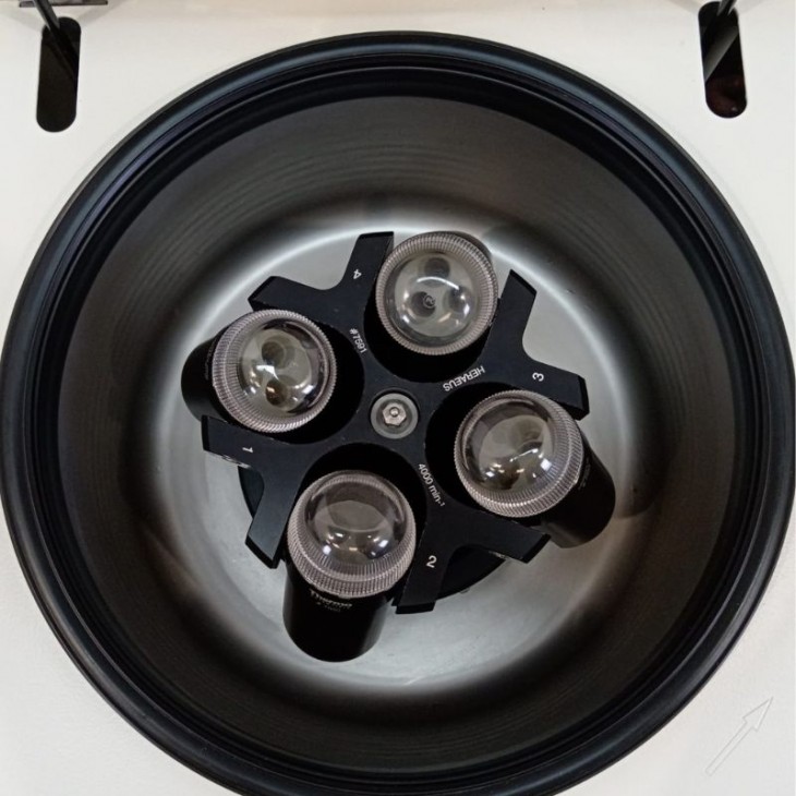 Buy Thermo Biofuge Primo R at the best price ǀ Galileo Equipment