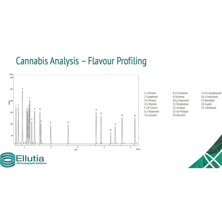 Ellutia 200 Series Compact GC with FID detector