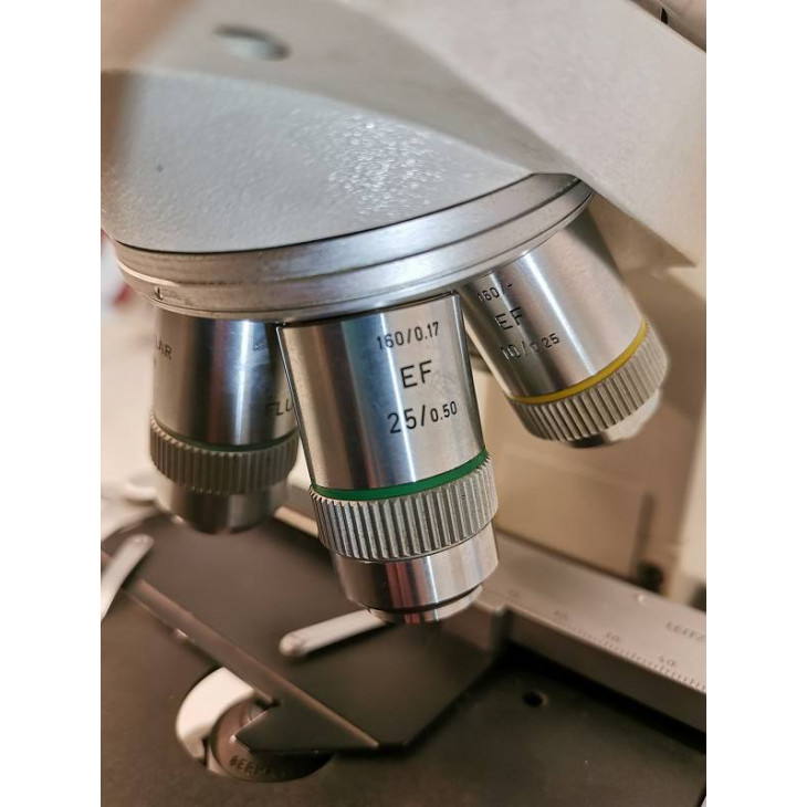 Refurbished fluorescence microscope Leitz Laborlux 12