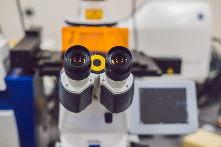 Microscopio confocal: Aplicaciones y características - Aprende en ...