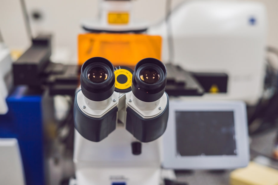 Microscopio confocal: Aplicaciones y características - Aprende en ...